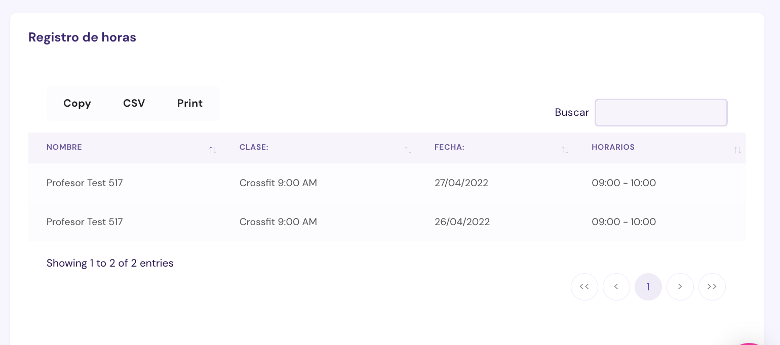 Reporte De Horas Por Profesor